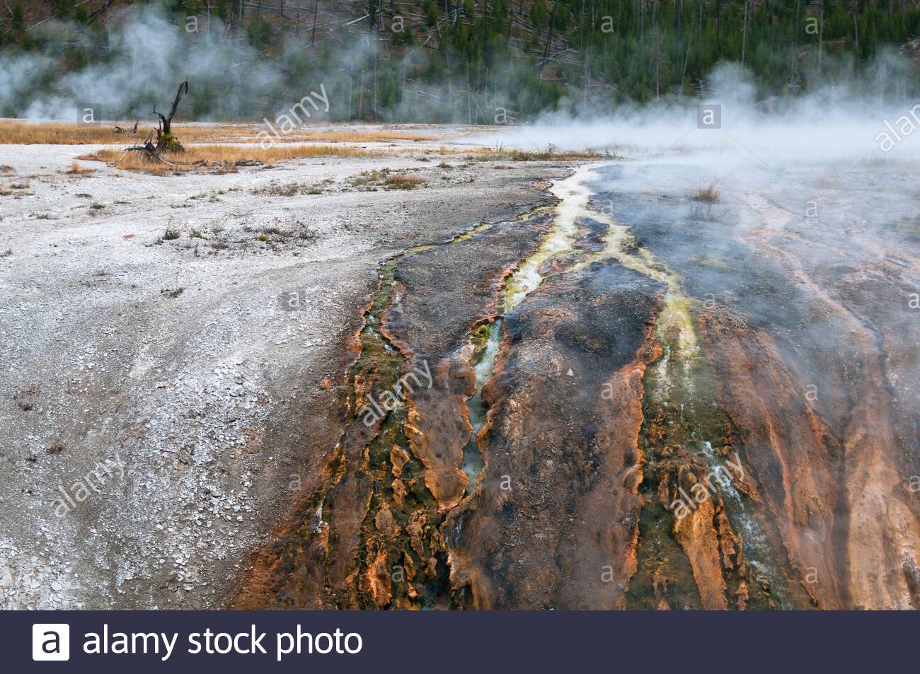 Overflow Basin High Resolution Stock Photography and Images - Alamy