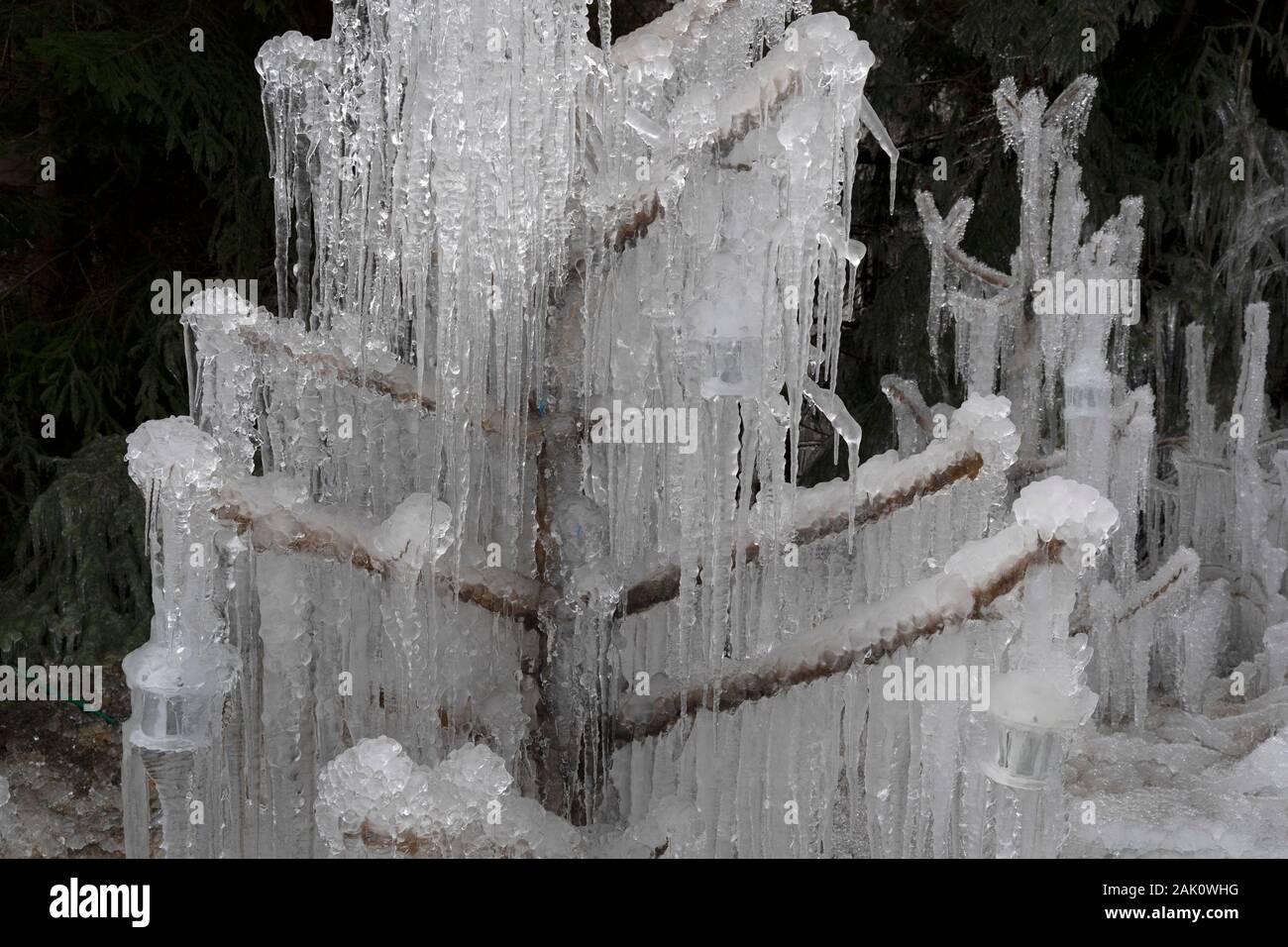 icicles frozen ice on tree branches in Winter season Stock Photo - Alamy