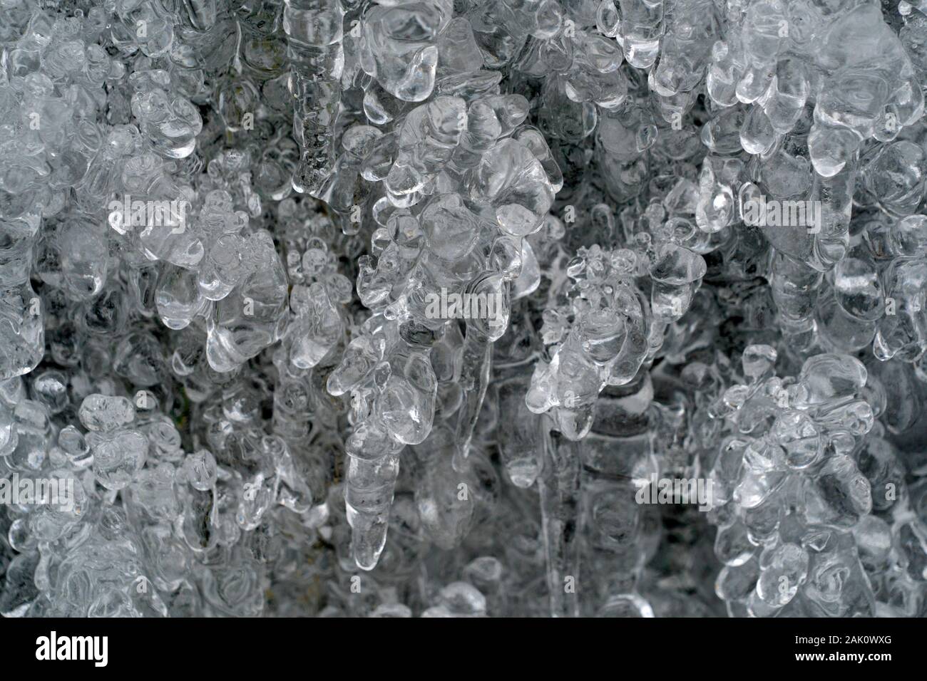 icicles frozen ice on tree branches in Winter season Stock Photo - Alamy