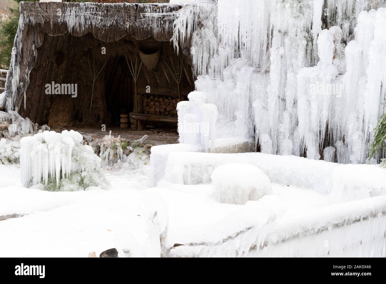 icicles frozen ice on tree branches in Winter season Stock Photo - Alamy