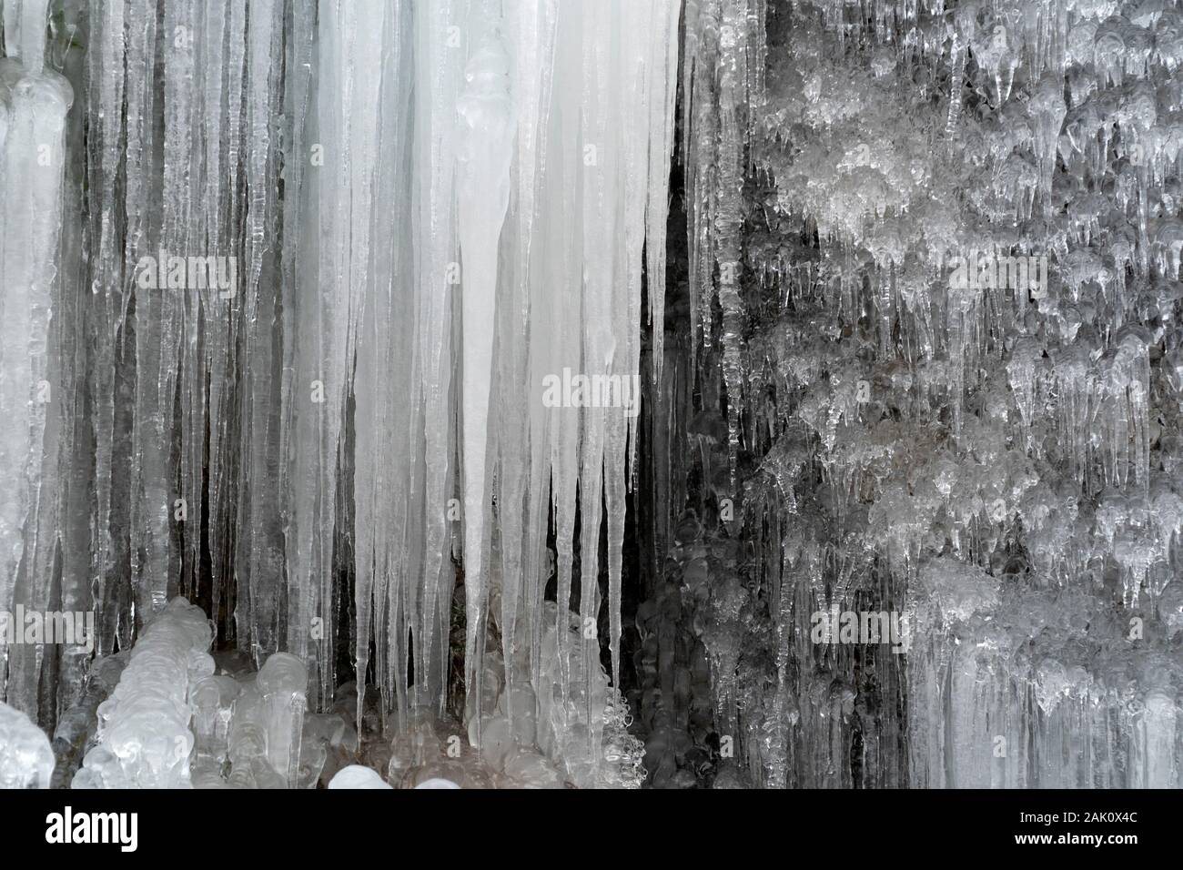 icicles frozen ice on tree branches in Winter season Stock Photo - Alamy