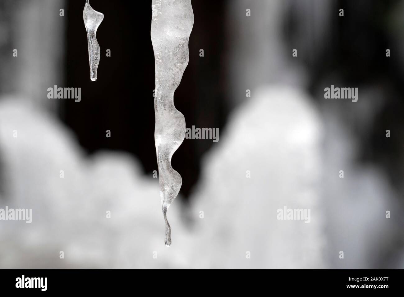icicles frozen ice on tree branches in Winter season Stock Photo - Alamy