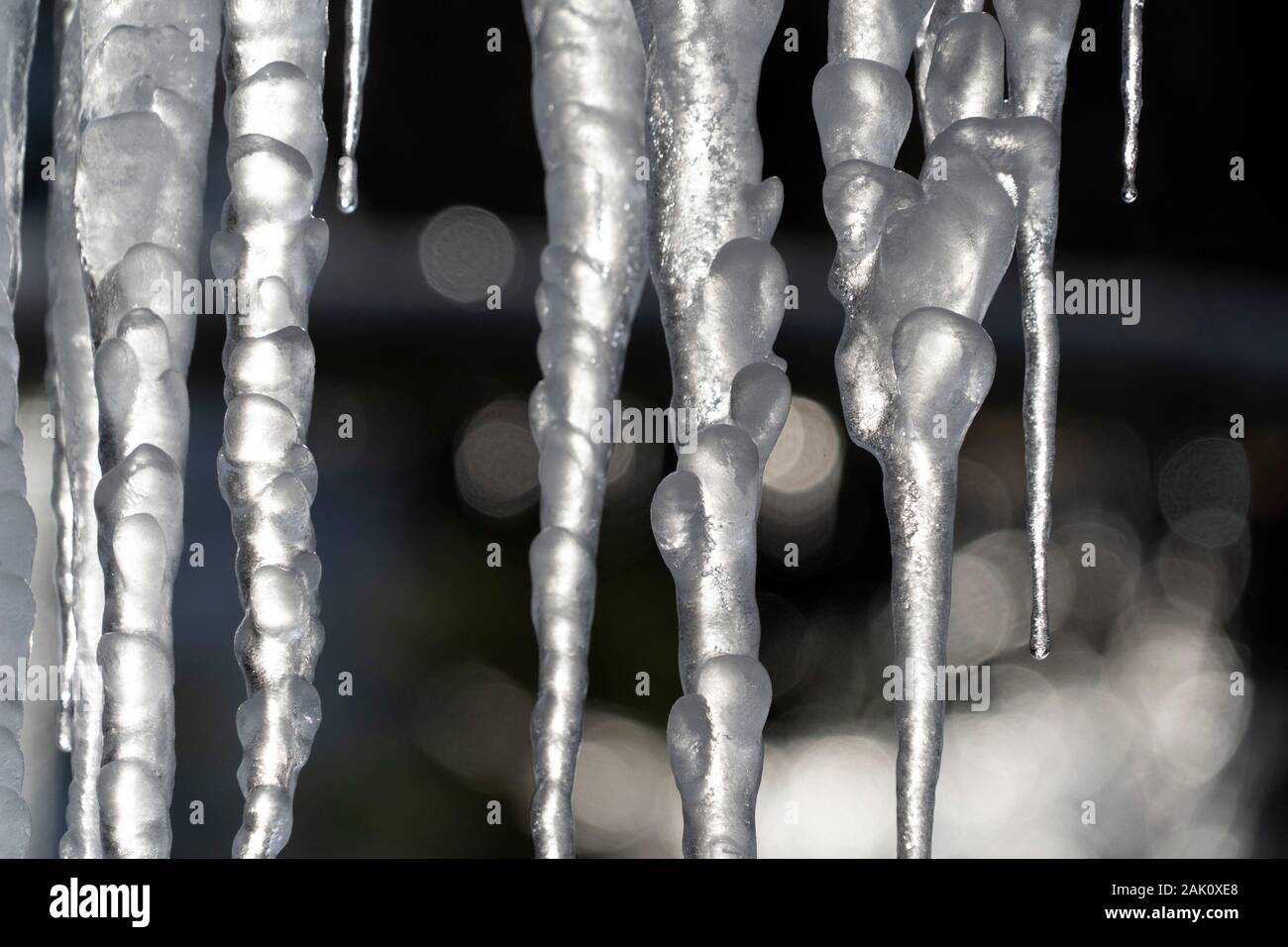 icicles frozen ice on tree branches in Winter season Stock Photo - Alamy
