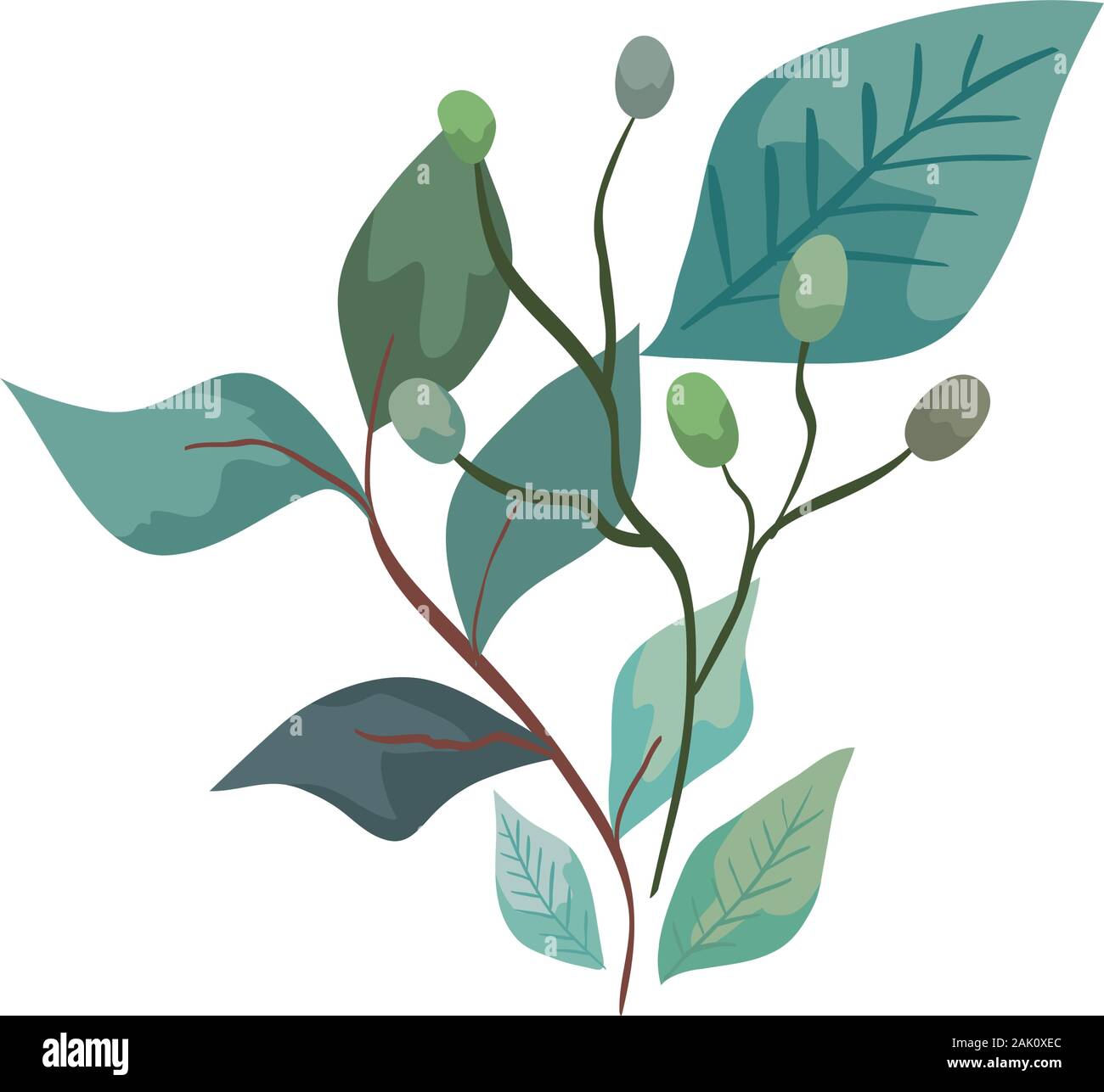 branches with leafs nature ecology isolated icon Stock Vector Image ...