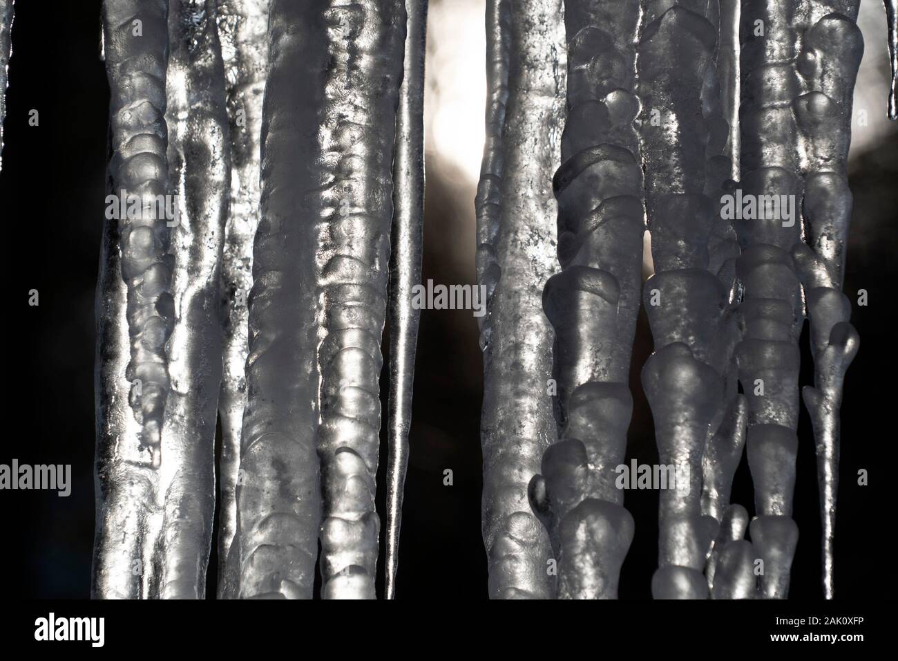 icicles frozen ice on tree branches in Winter season Stock Photo - Alamy