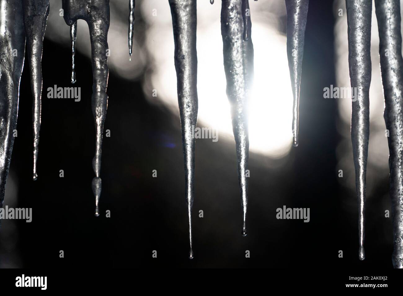 icicles frozen ice on tree branches in Winter season Stock Photo - Alamy