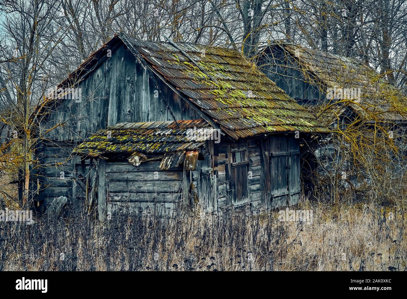 Blacksmiths tree hi-res stock photography and images - Alamy