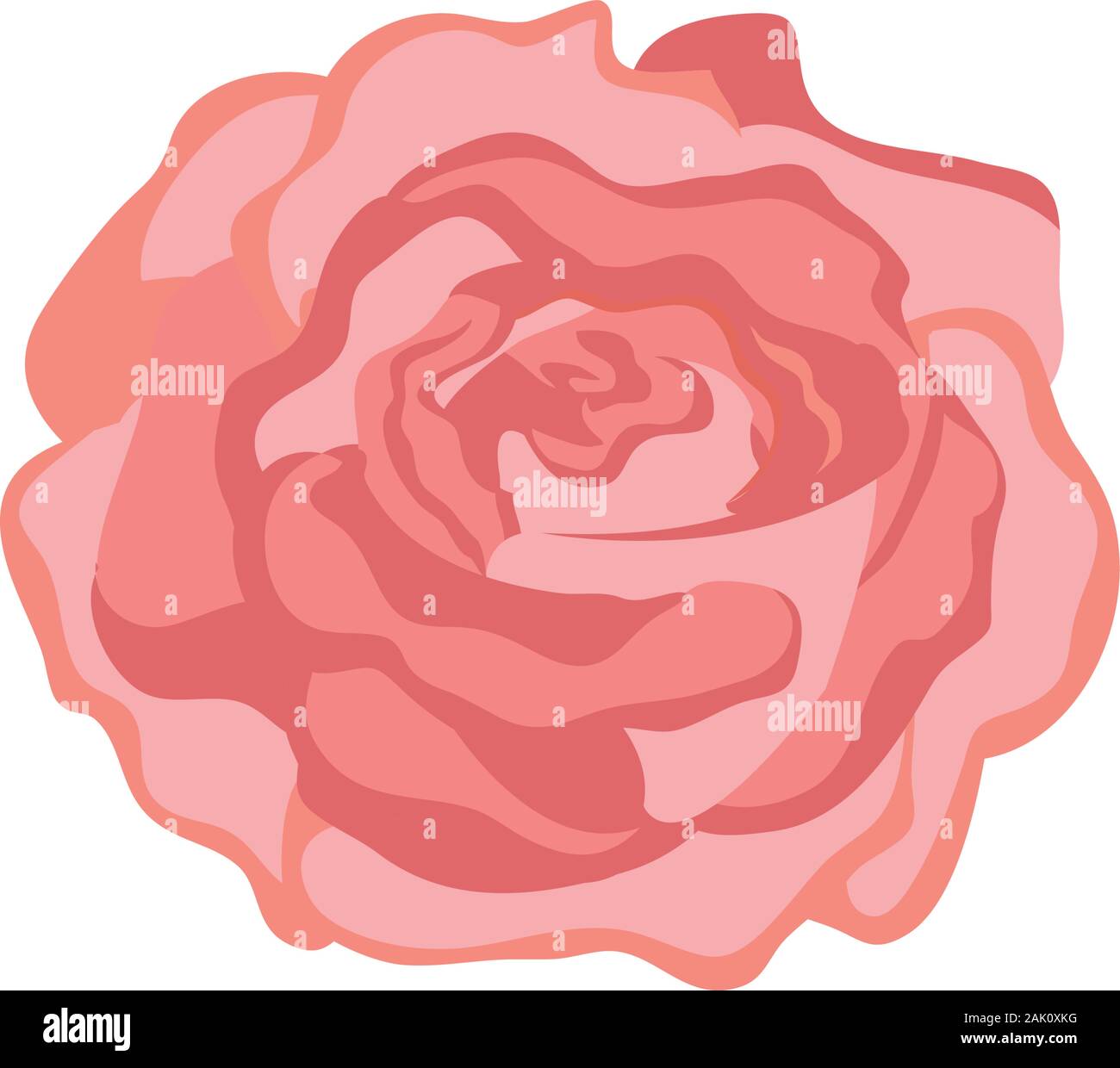 cute rose natural isolated icon Stock Vector Image & Art - Alamy