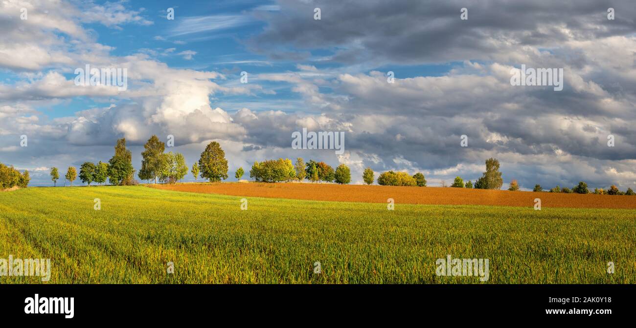 autumn countryside landscape - field and meadow, tree alley on the ...