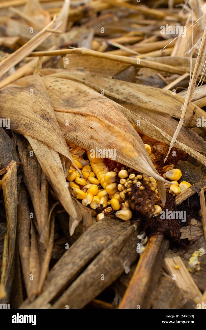 Mild terrain hi-res stock photography and images - Alamy