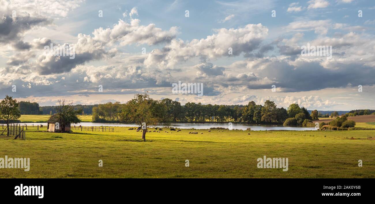 landscape with blue sky and clouds - panorama of rural countryside with ...