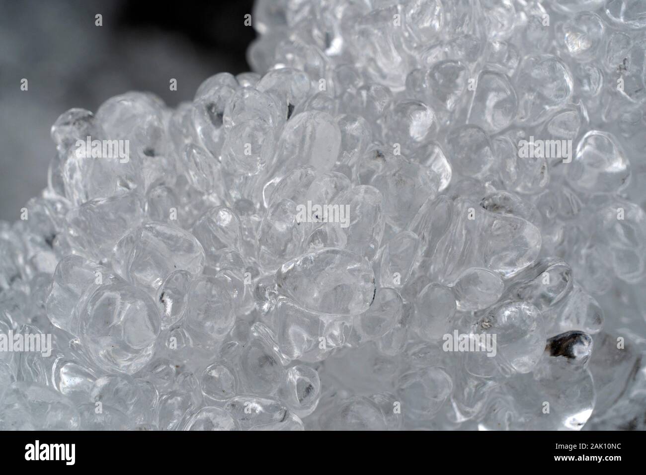 icicles frozen ice on tree branches in Winter season Stock Photo - Alamy