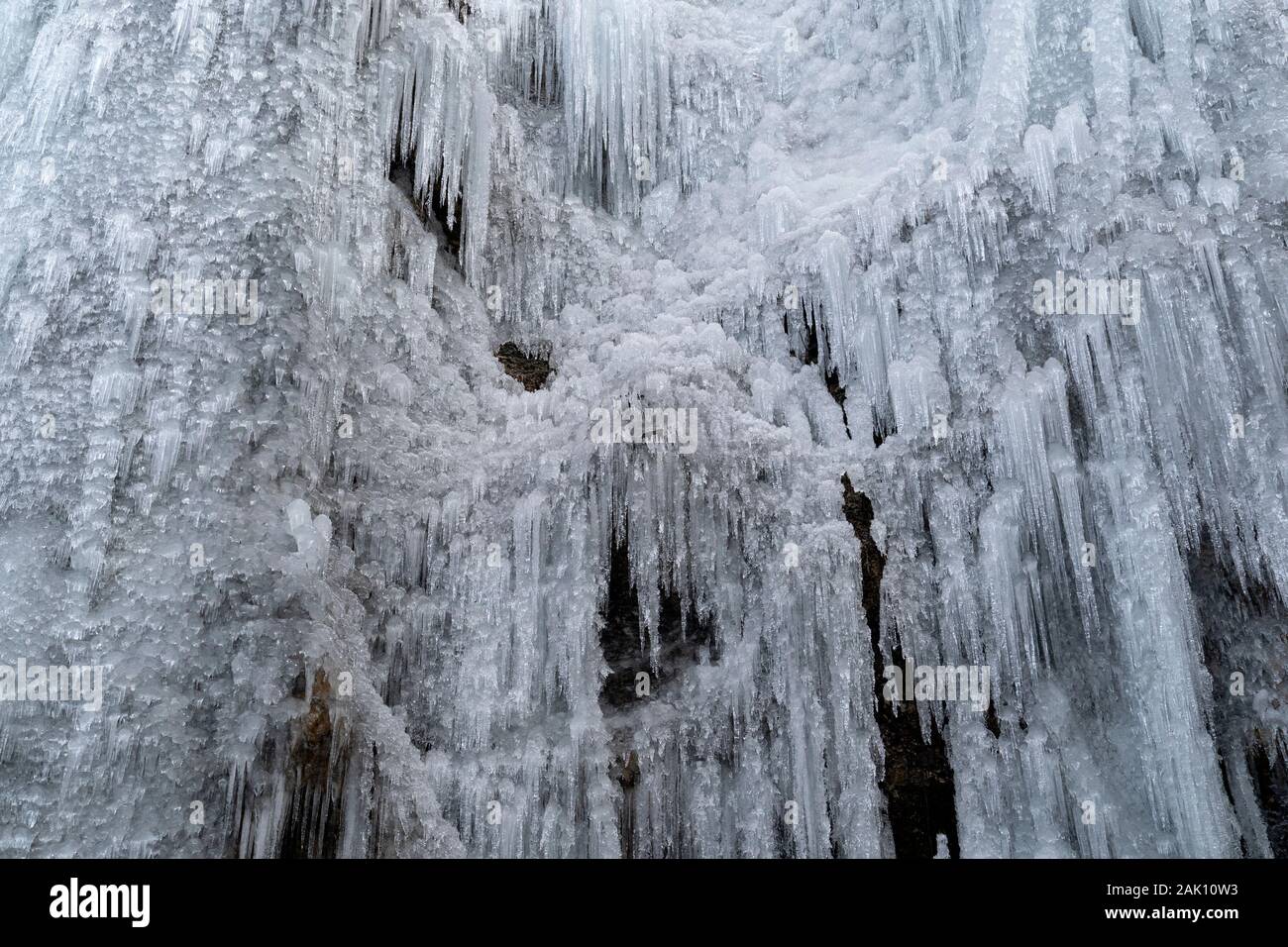 icicles frozen ice on tree branches in Winter season Stock Photo - Alamy