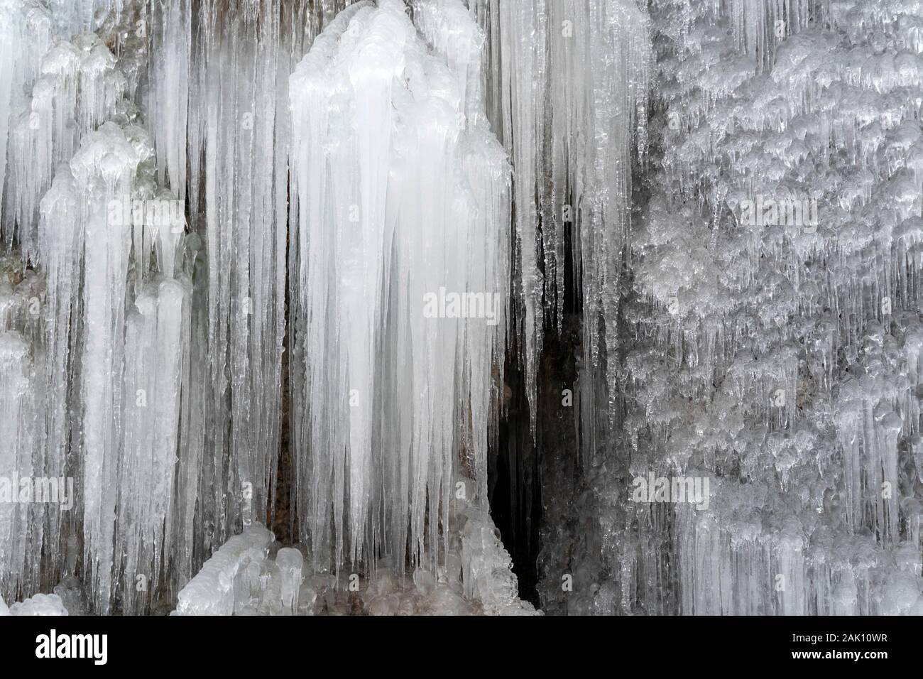 icicles frozen ice on tree branches in Winter season Stock Photo - Alamy