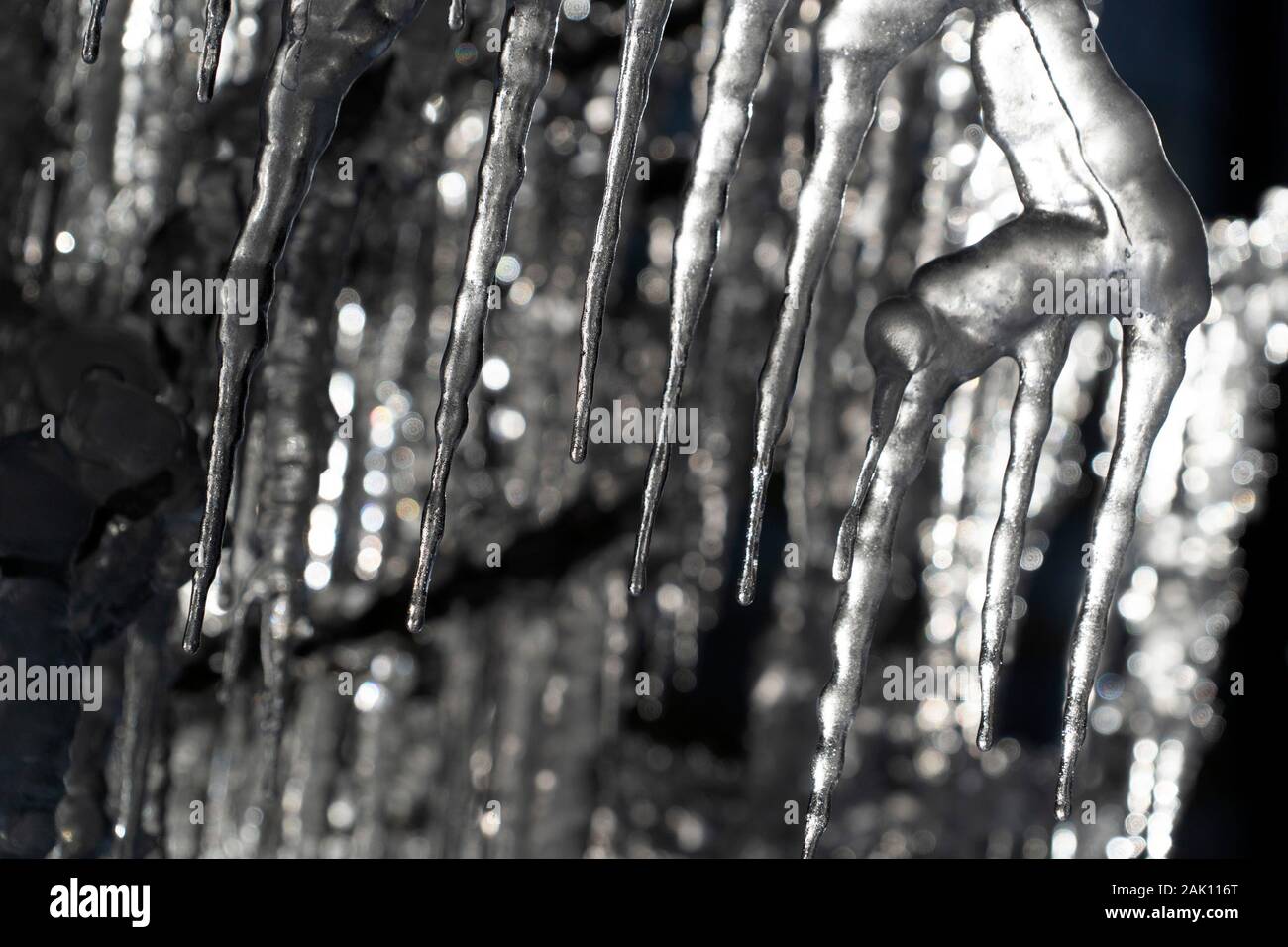 icicles frozen ice on tree branches in Winter season Stock Photo - Alamy