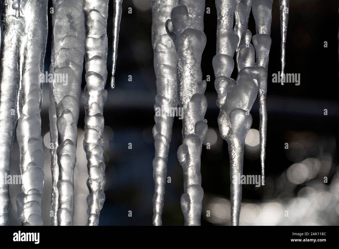 icicles frozen ice on tree branches in Winter season Stock Photo - Alamy