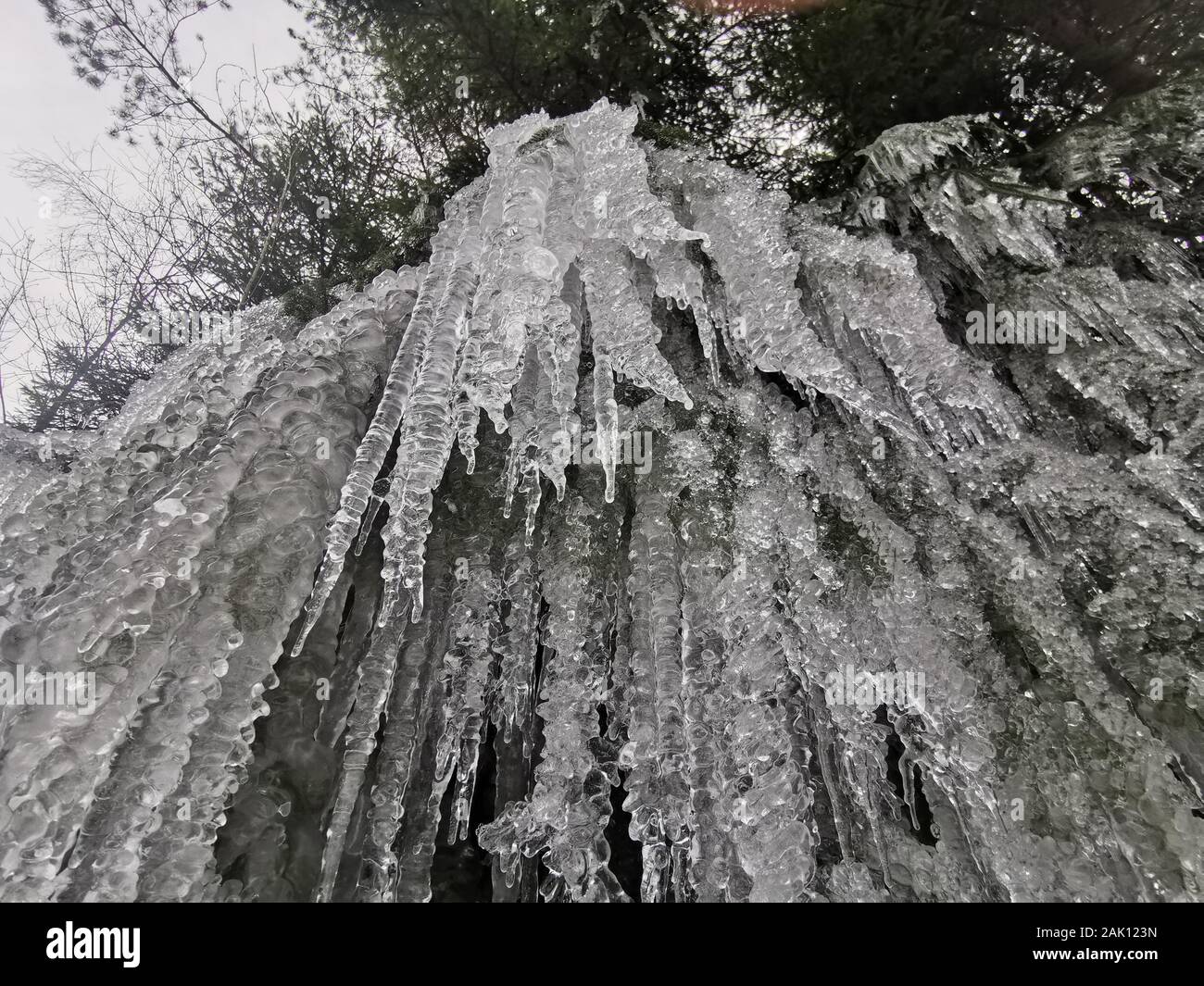 icicles frozen ice on tree branches Stock Photo - Alamy
