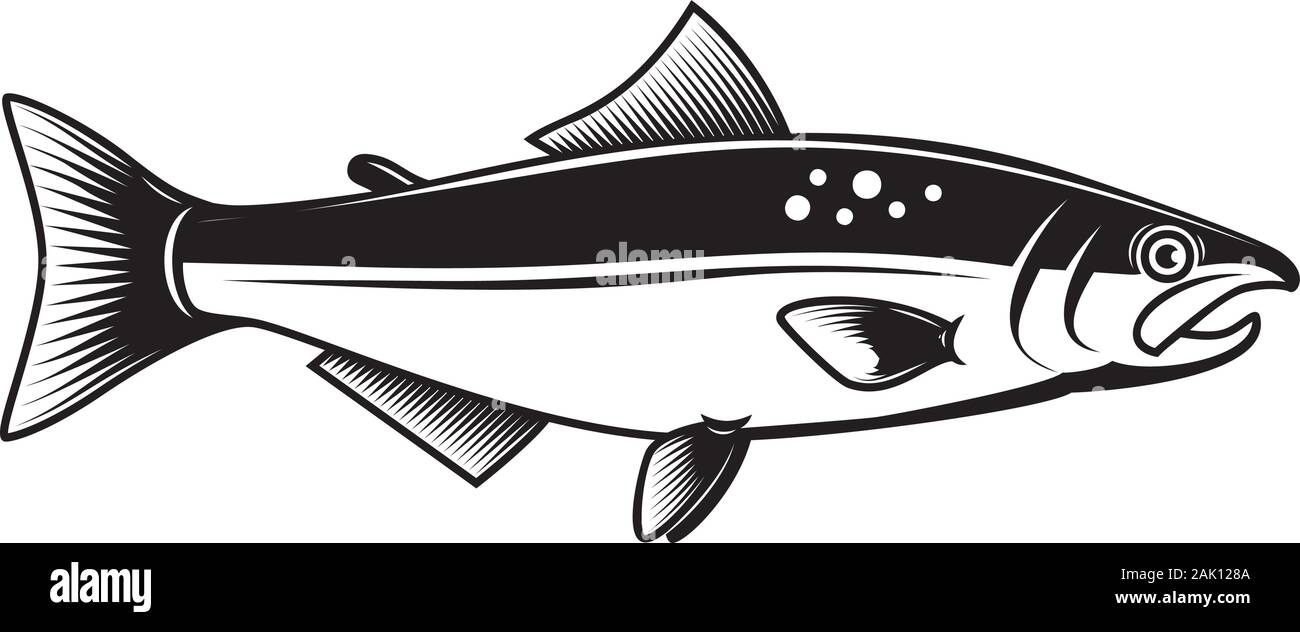 Salmon Fish Clip Art