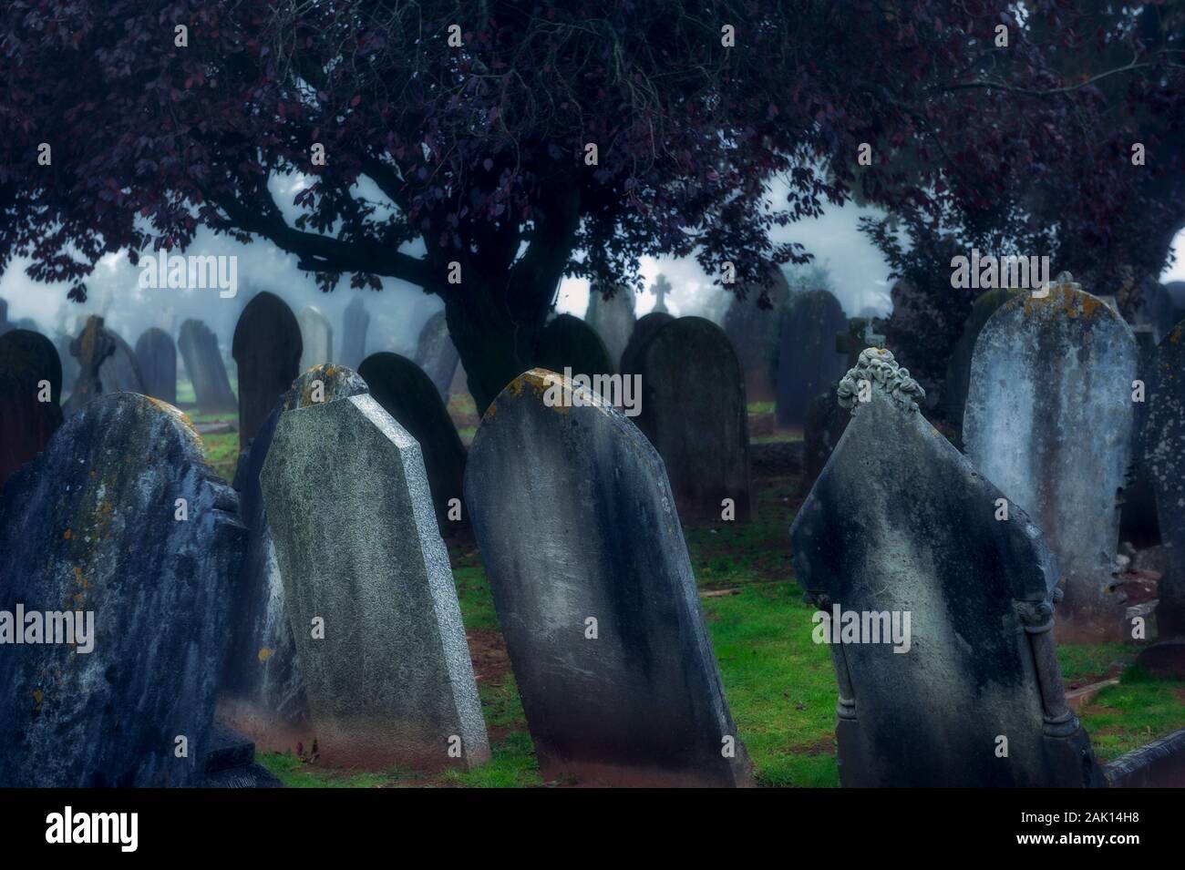 Mysterious mist glowing in the moonlight over shadowy old unmarked ...