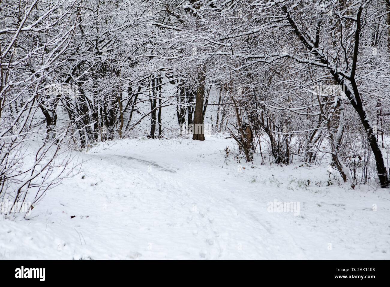 Snowed trail hi-res stock photography and images - Alamy