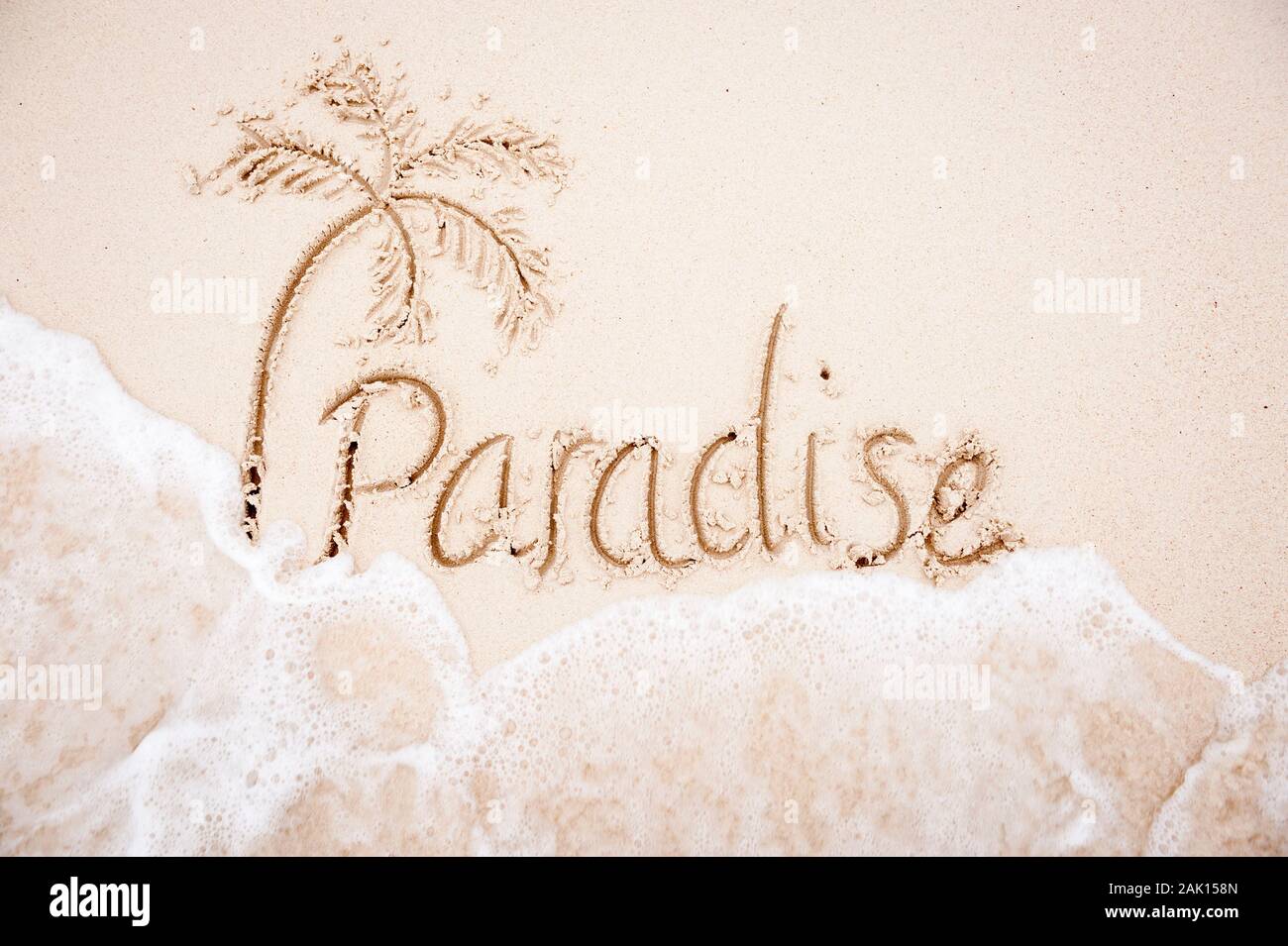 Paradise message handwritten with tropical palm tree on smooth sand ...