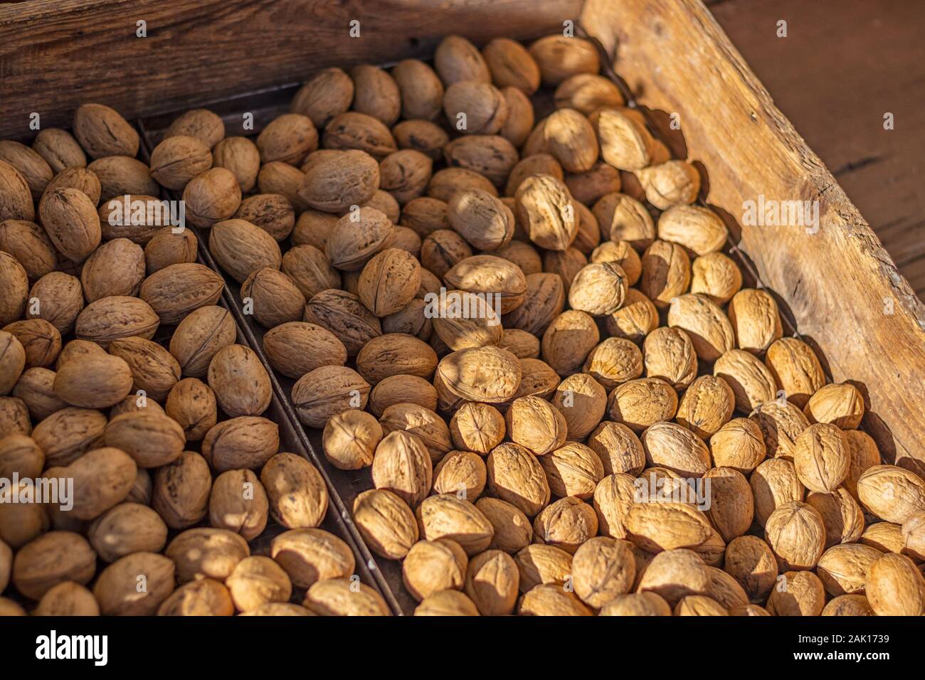 Walnuts in their shells hi-res stock photography and images - Alamy