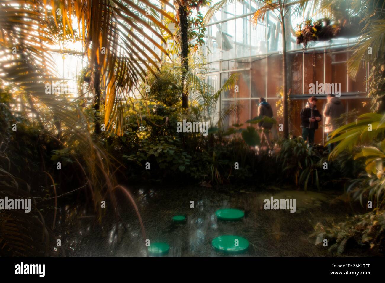 Shots from Hortus Botanicus in Amsterdam Stock Photo - Alamy