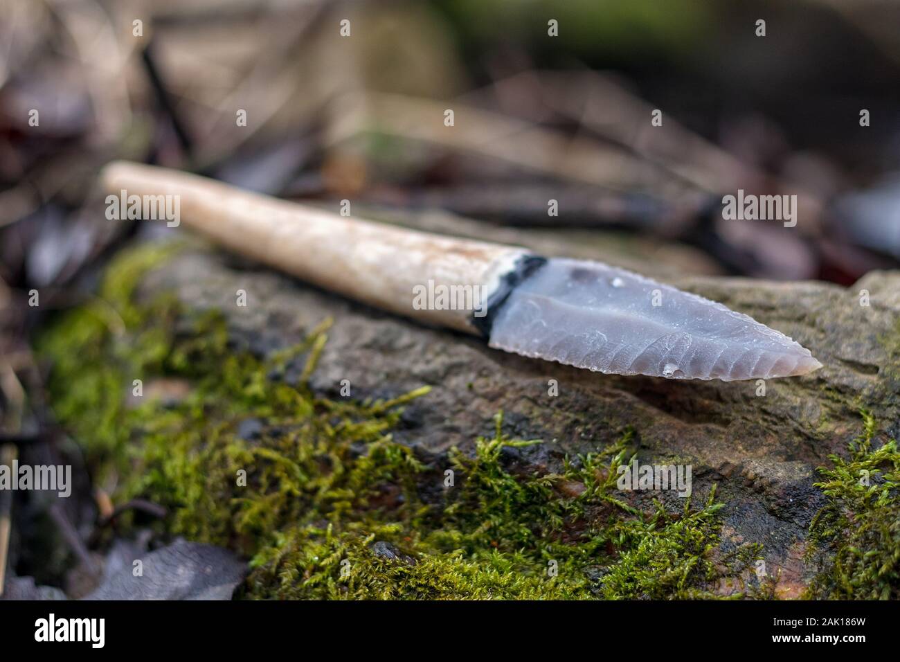 Mesolithic tool hi-res stock photography and images - Alamy