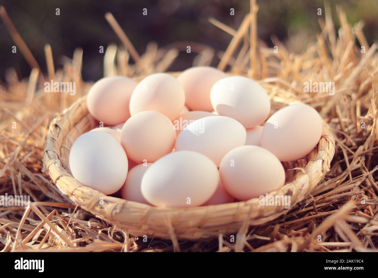 Organic eggs in wicker basket (on straw), sunshine outdoor Stock Photo ...