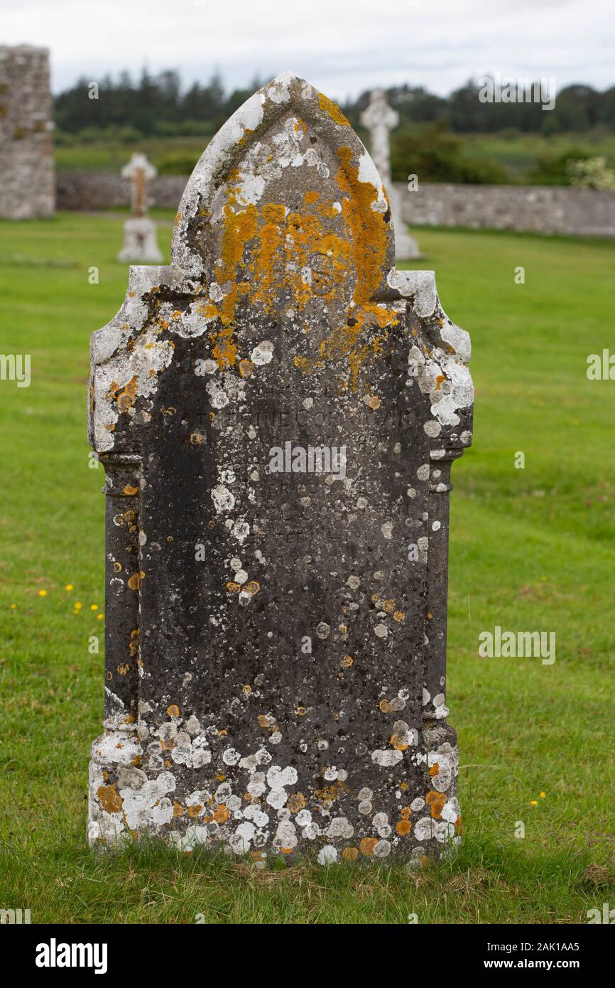 Archaeological site of Clonmacnoise in Ireland with a cathedral ...