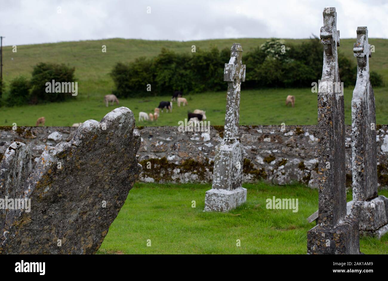 Archaeological site of Clonmacnoise in Ireland with a cathedral ...