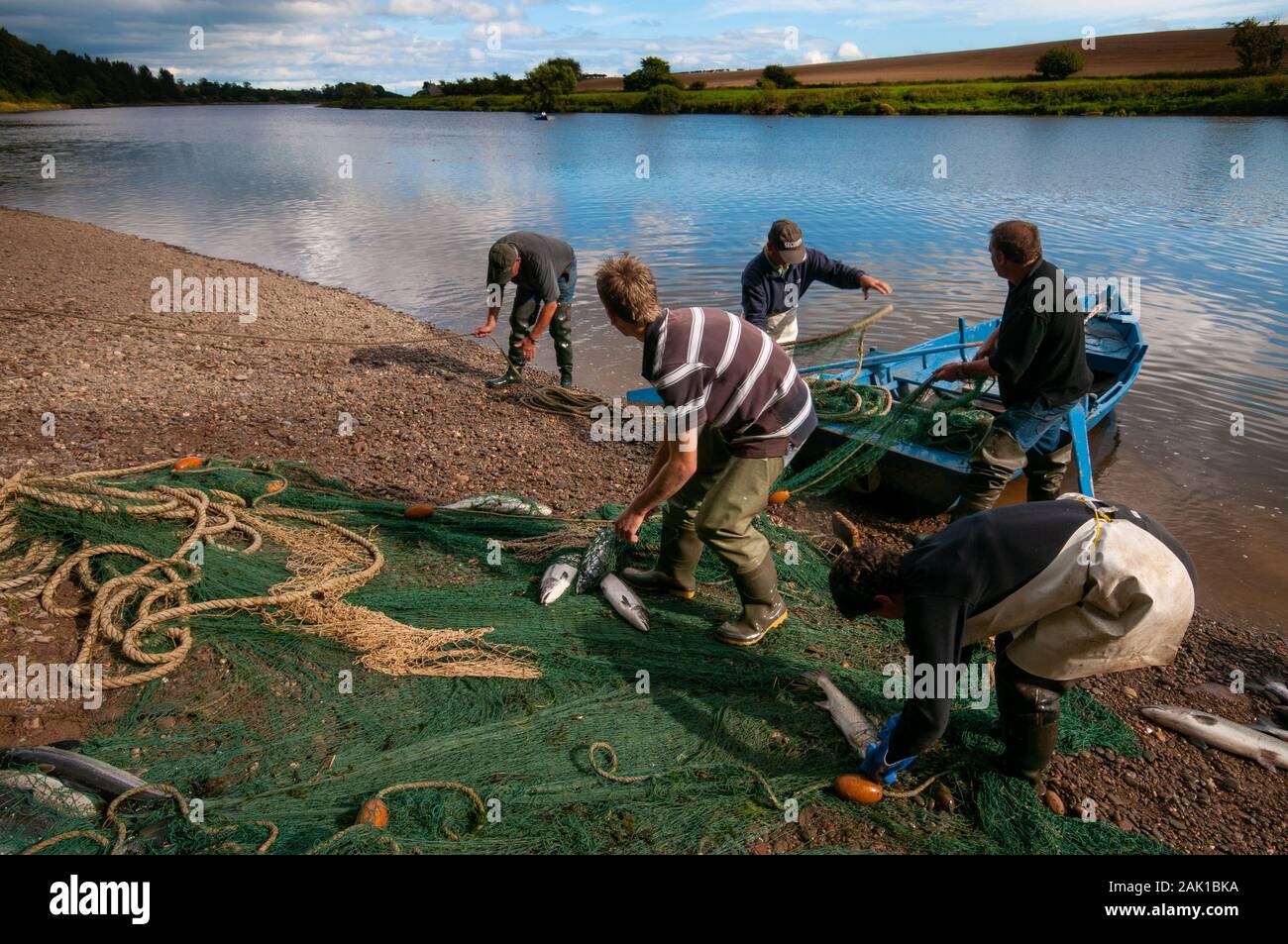 Paxton net fishery on the lower Tweed Stock Photo - Alamy