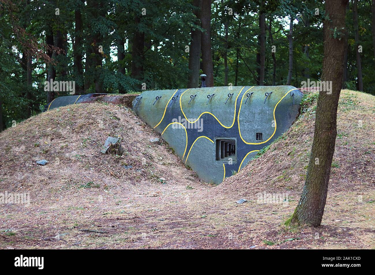 Forest bunker hi-res stock photography and images - Alamy