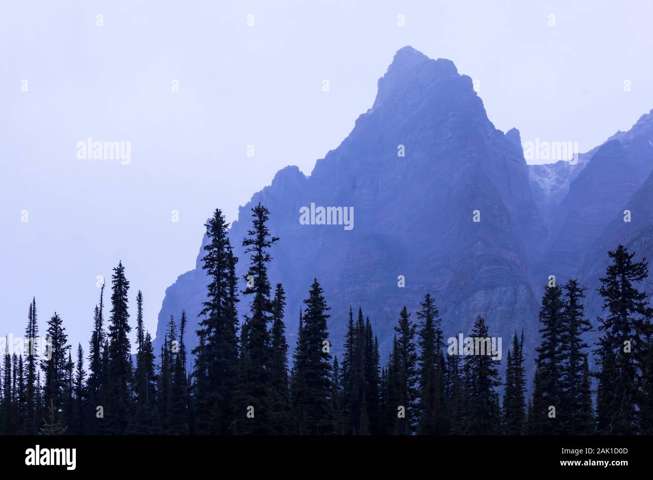 Wiwaxy Peak viewed from Elizabeth Parker Hut in blue evening light in ...