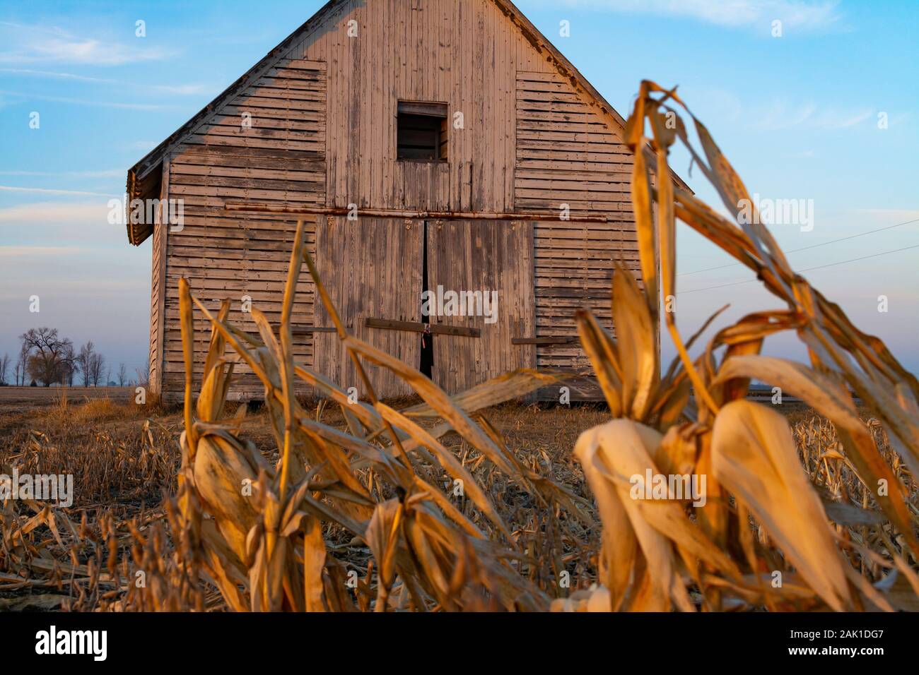 Cornfield and country road at sunset hi-res stock photography and ...
