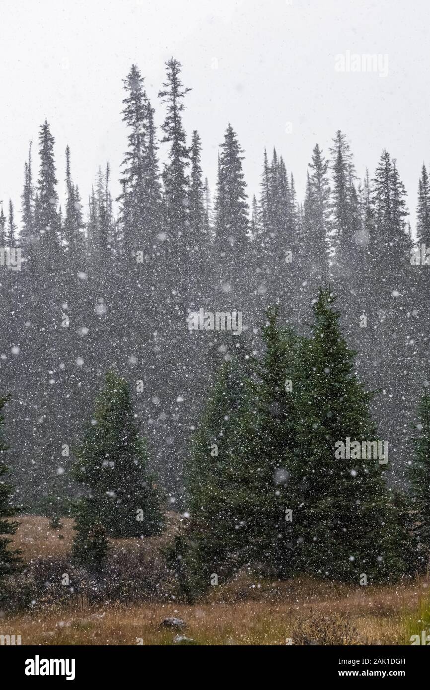 Canadian forest hut hi-res stock photography and images - Alamy