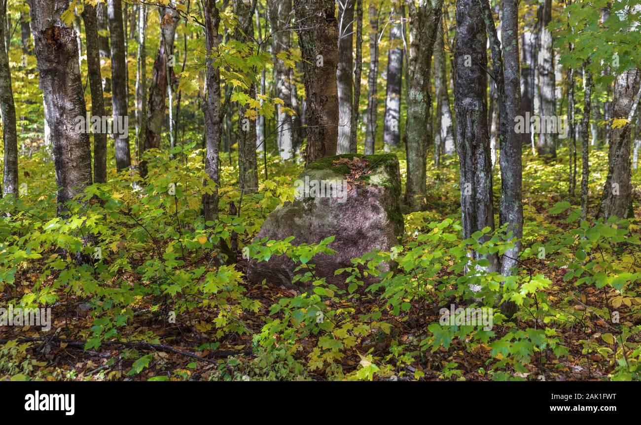 Dappled rock hi-res stock photography and images - Alamy