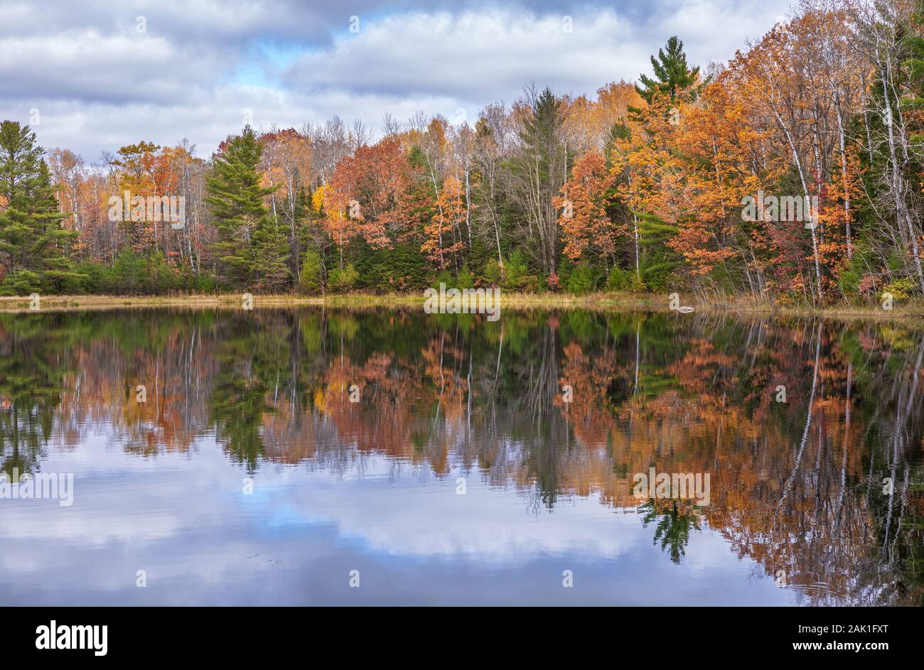 Autumn colors in the Chequamegon National Forest Stock Photo - Alamy