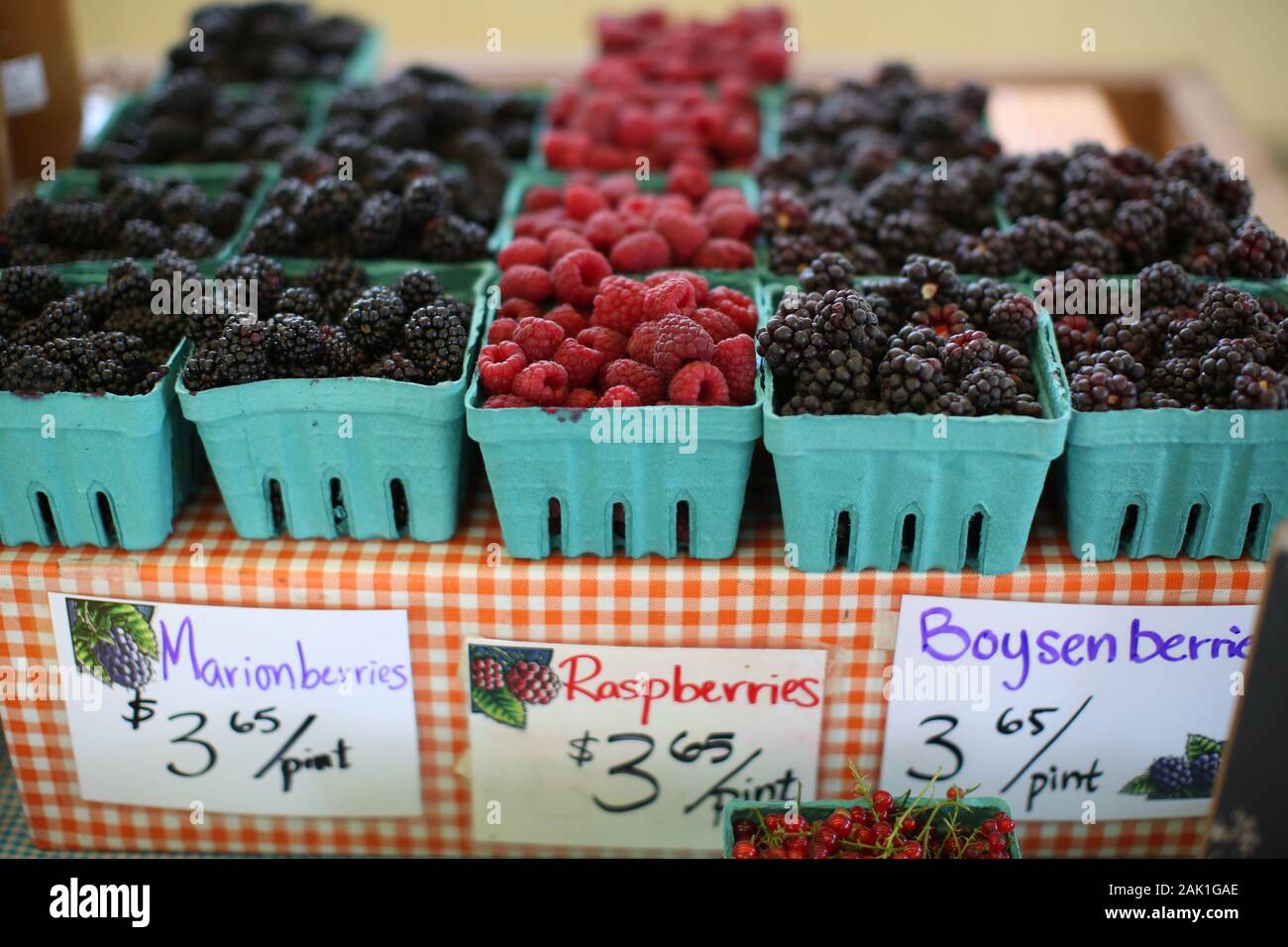 Berry season in Portland Oregon Stock Photo - Alamy