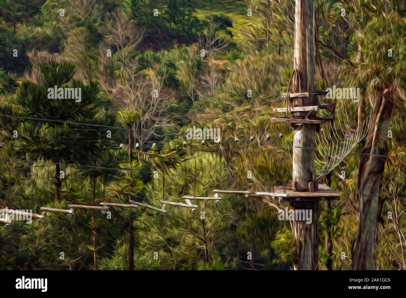 Trunk with tree climbing circuit in a green forest on cloudy day near ...