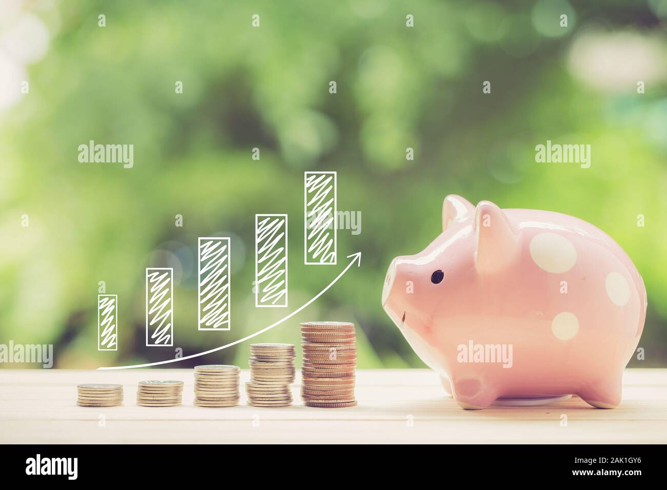 Money coins stack growing graph and piggy bank nature background ...