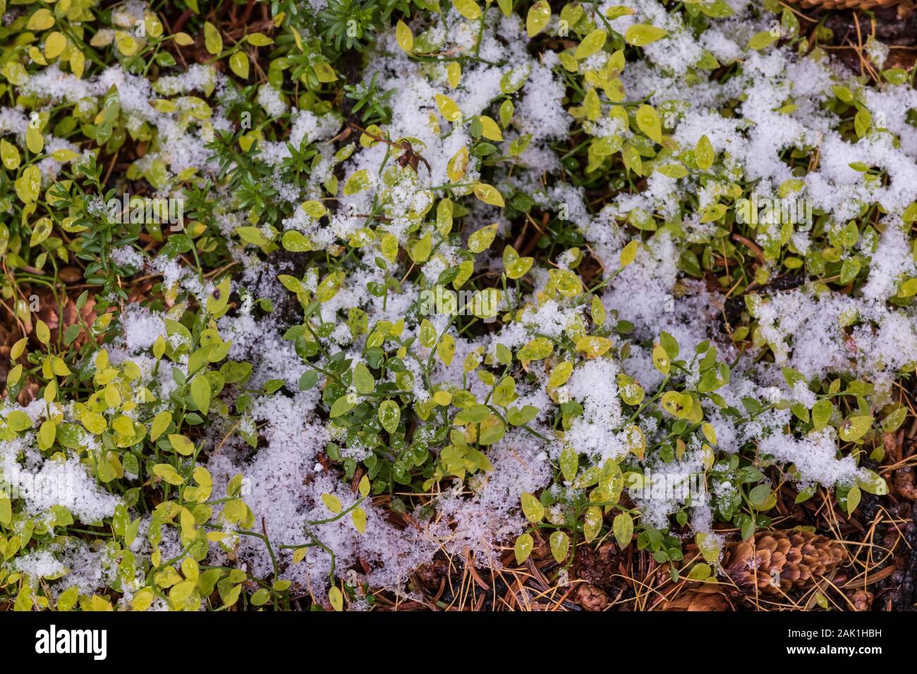East opabin trail hi-res stock photography and images - Alamy
