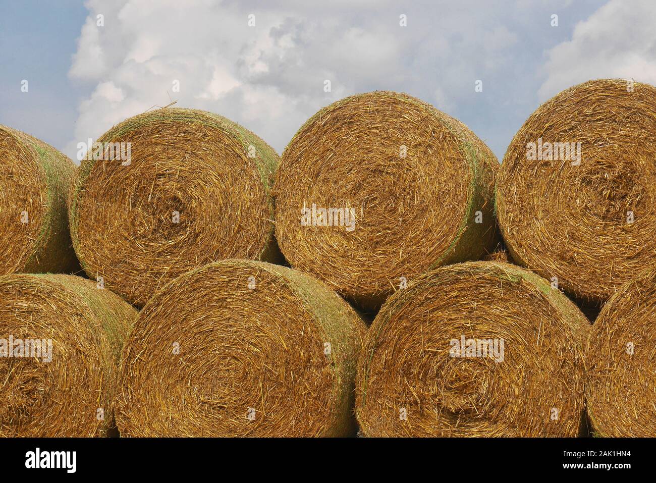 stack of straw bales - close up view of round straw bales stacked on ...