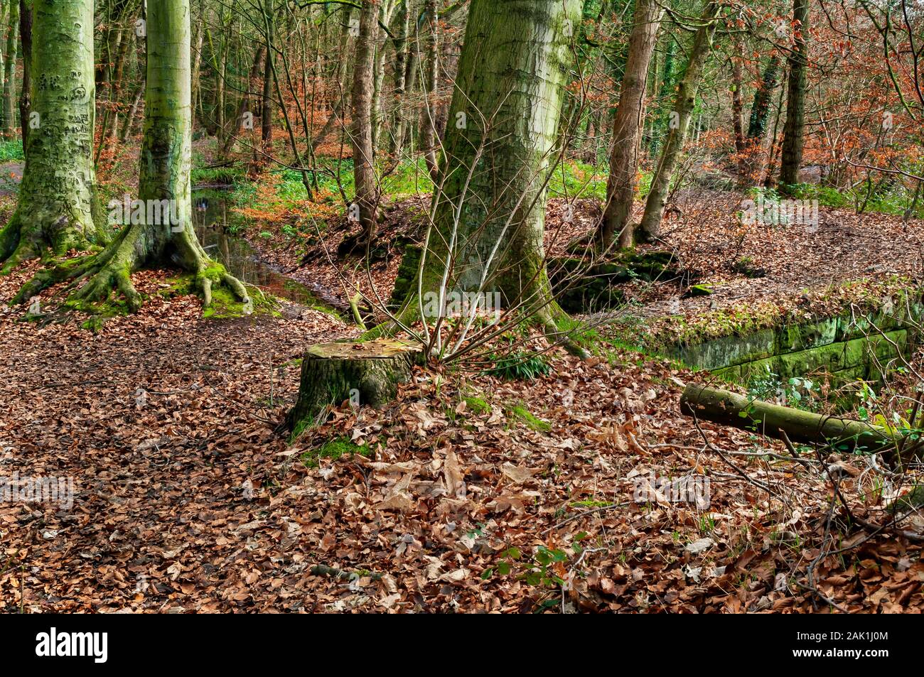 Goit hi-res stock photography and images - Alamy