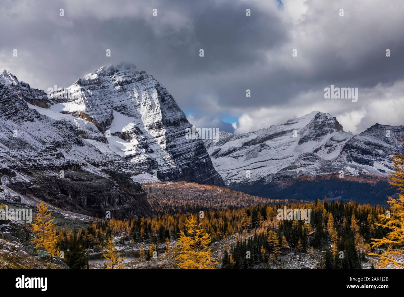 Odaray Mountain viewed from the Opabin Plateau, high above Lake O'Hara ...