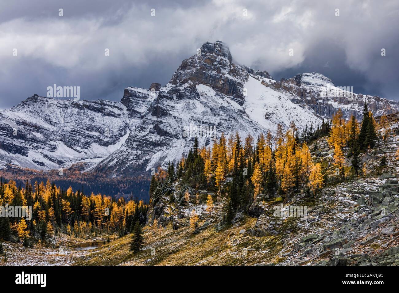 Cathedral Mountain viewed from Opabin Plateau with Hungabee Lake in ...
