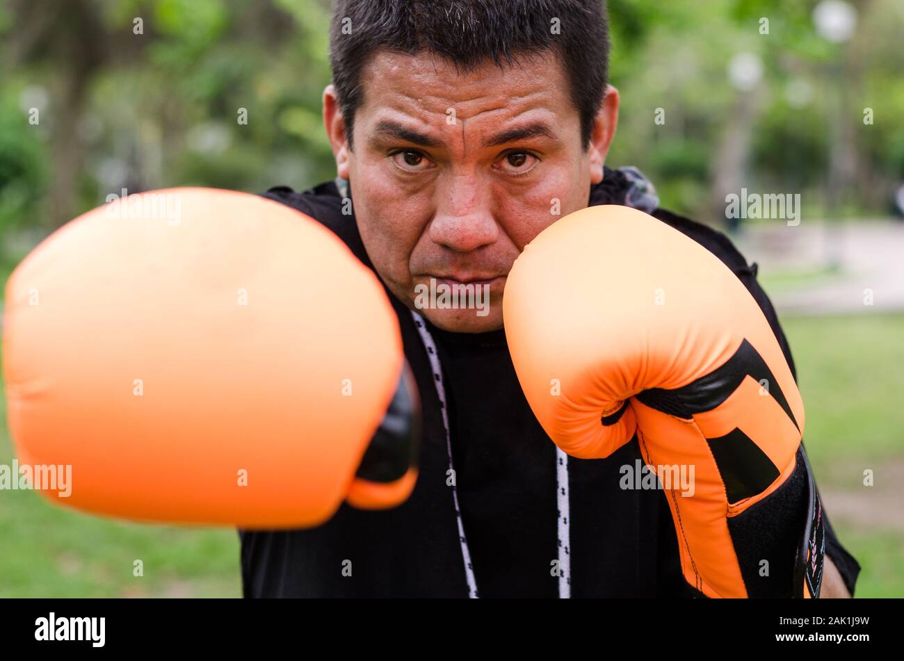 Professional boxer looking at the camera and throwing a punch Stock ...