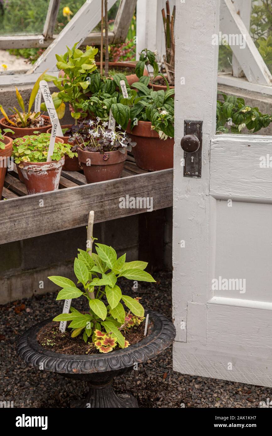 Strawberry Banke Museum in Portsmouth, New Hampshire Stock Photo - Alamy
