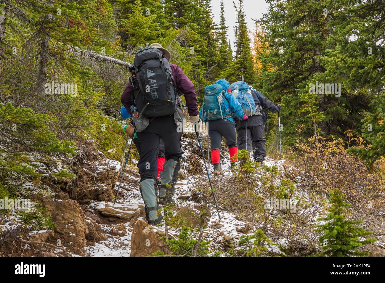 Hikers on the rugged trail to Lake McArthur in September in Yoho ...
