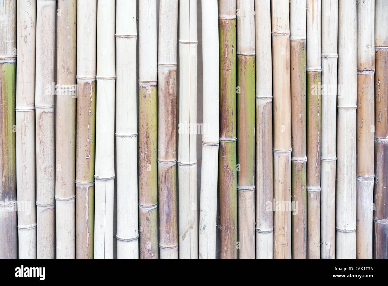 Ancient bamboo border wall made from bamboo sticks Stock Photo - Alamy